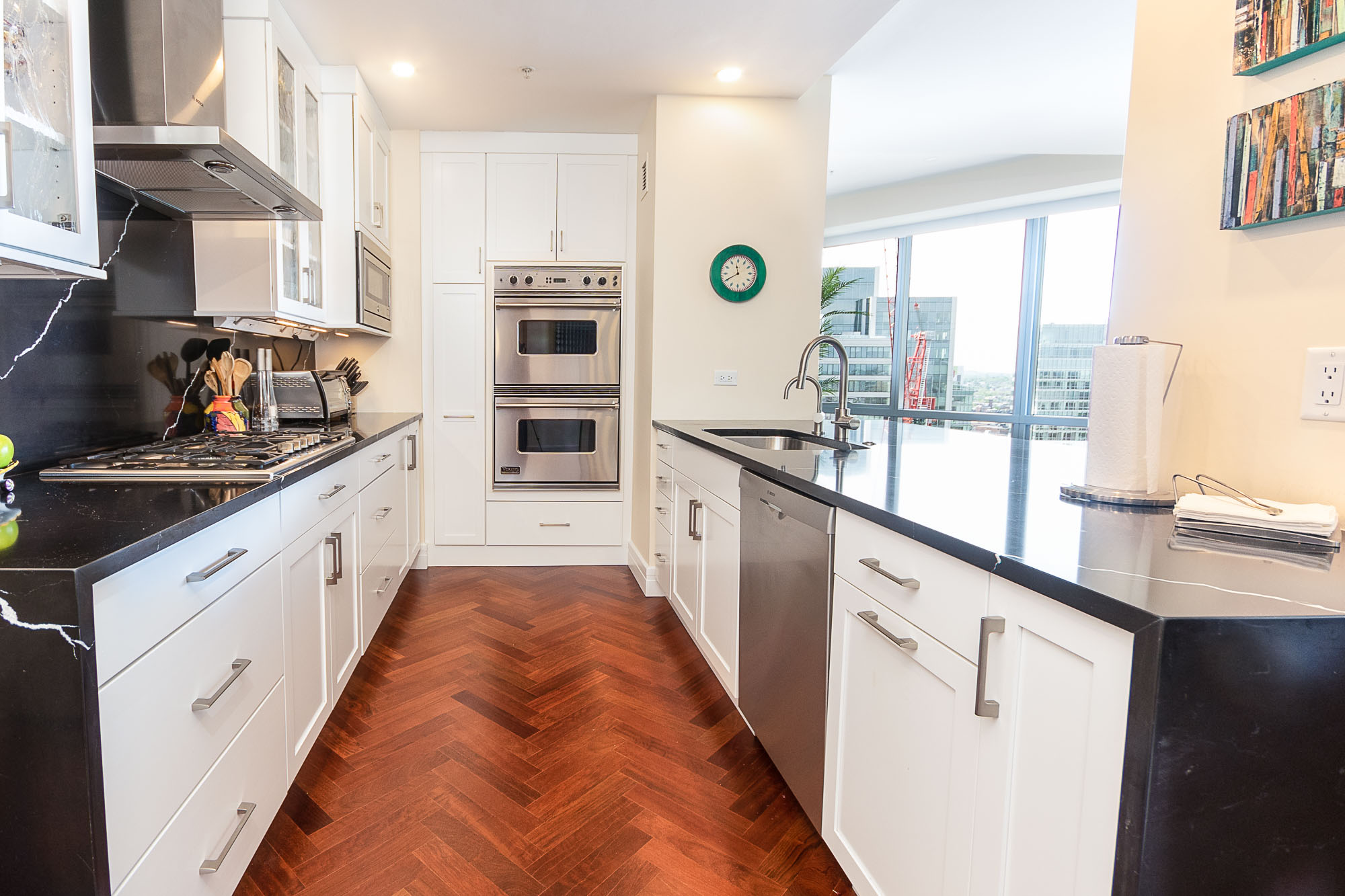 Great View for This Boston Kitchen!